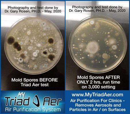Children and Mold - My Triad Aer ProActive Indoor Air Purification ...