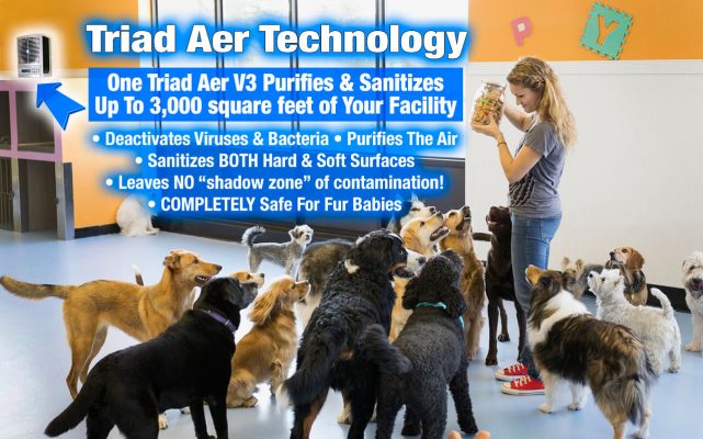 Pet Services - My Triad Aer ProActive Indoor Air Purification ...